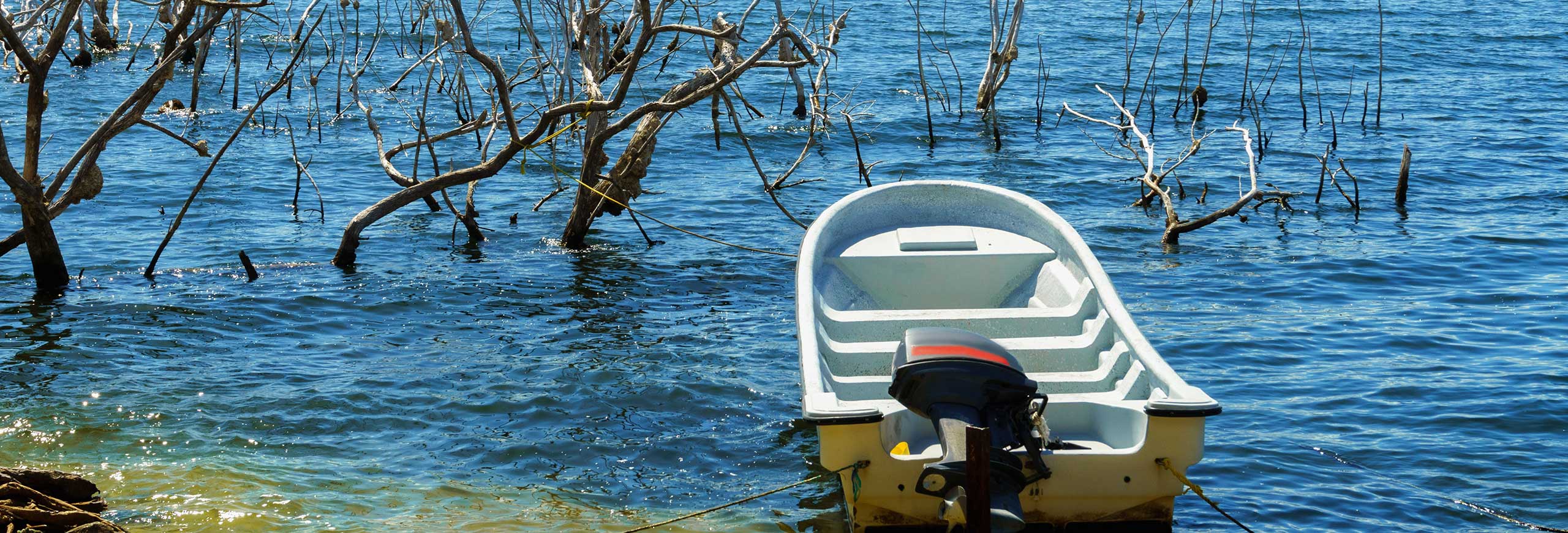 Instituto Tecnológico de Santo Domingo - INTEC