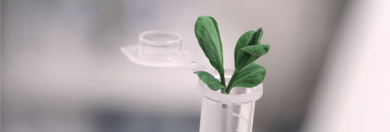 Inicio - Instituto Tecnológico de Santo Domingo - INTEC